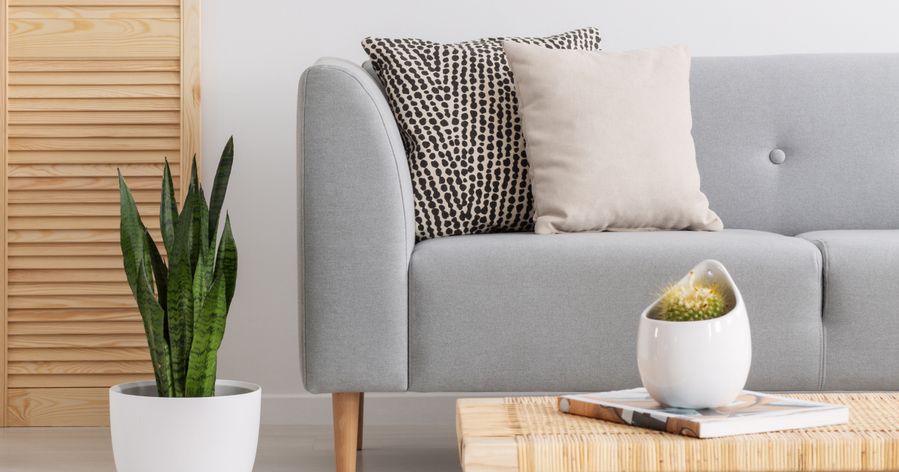 ナチュラルの心地よさ - instabase Meet｜インスタベース